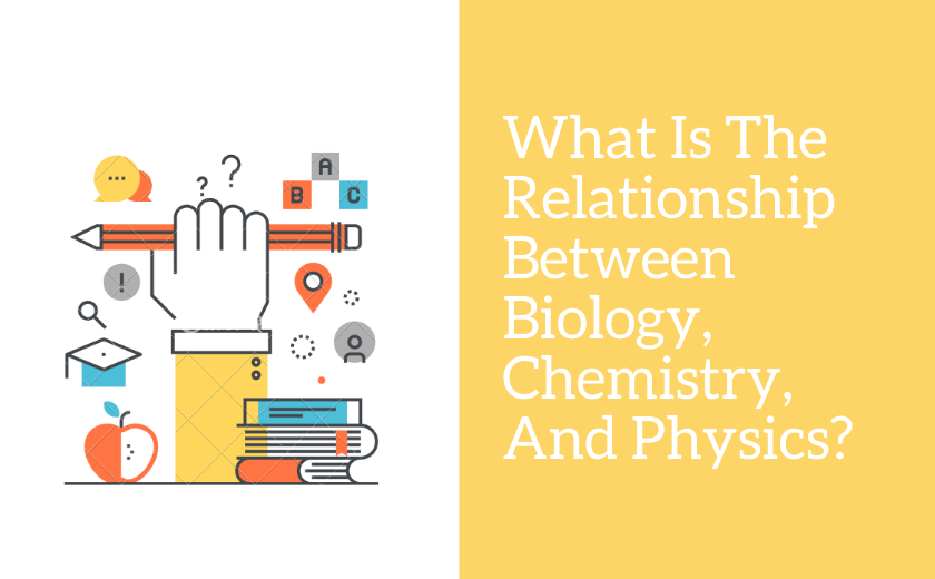 What Is The Relationship Between Biology Chemistry And Physics What Is The Relationship Between Biology Chemistry And Physics